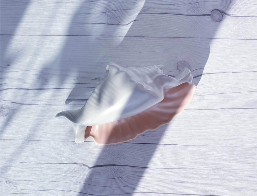 Poole Pottery Twintone Series Ceramic Conch Shell in Peach and Gull, 1 ...